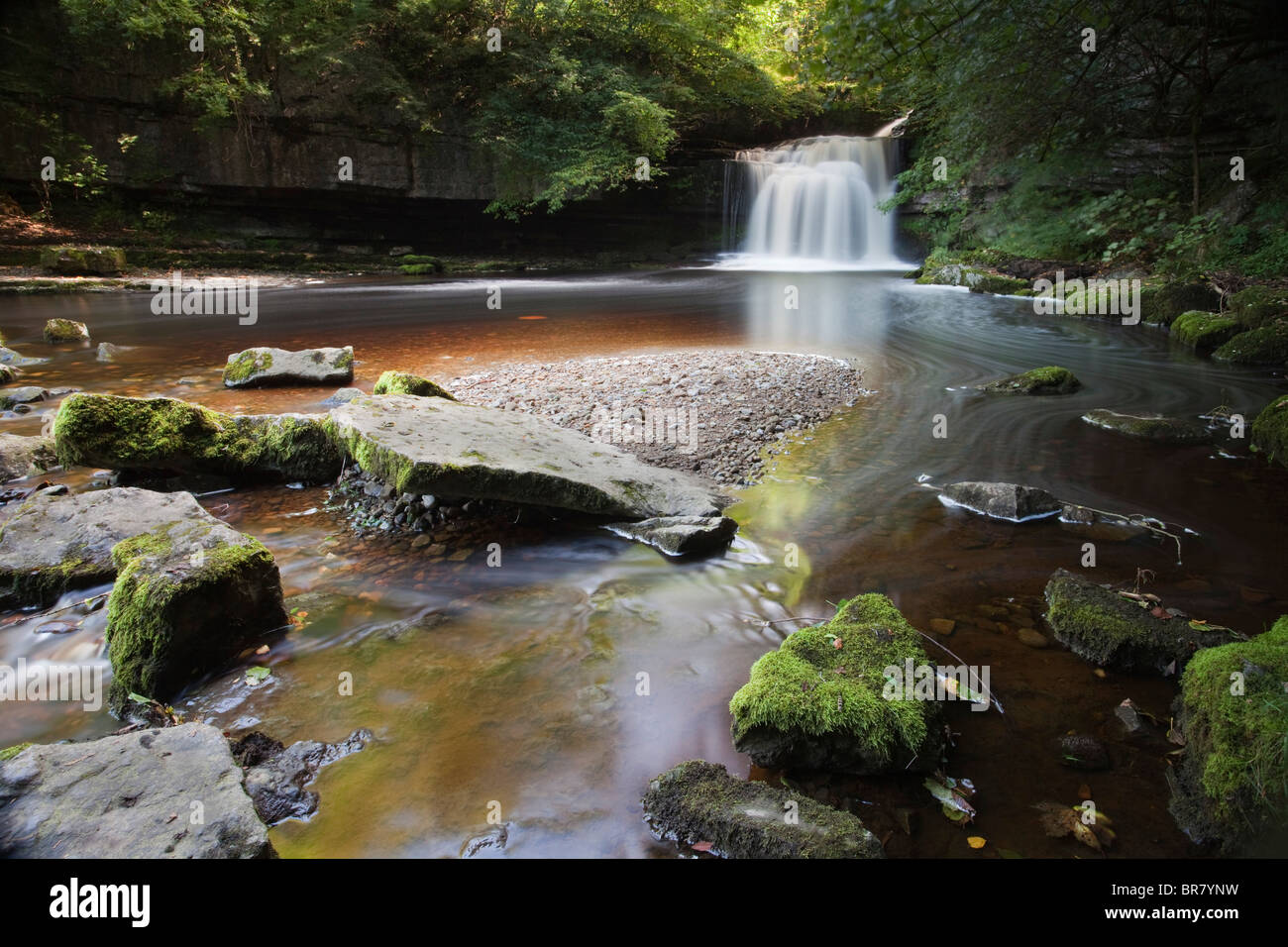 Cauldron Force, West Burton, in full flow after heavy overnight rain ...