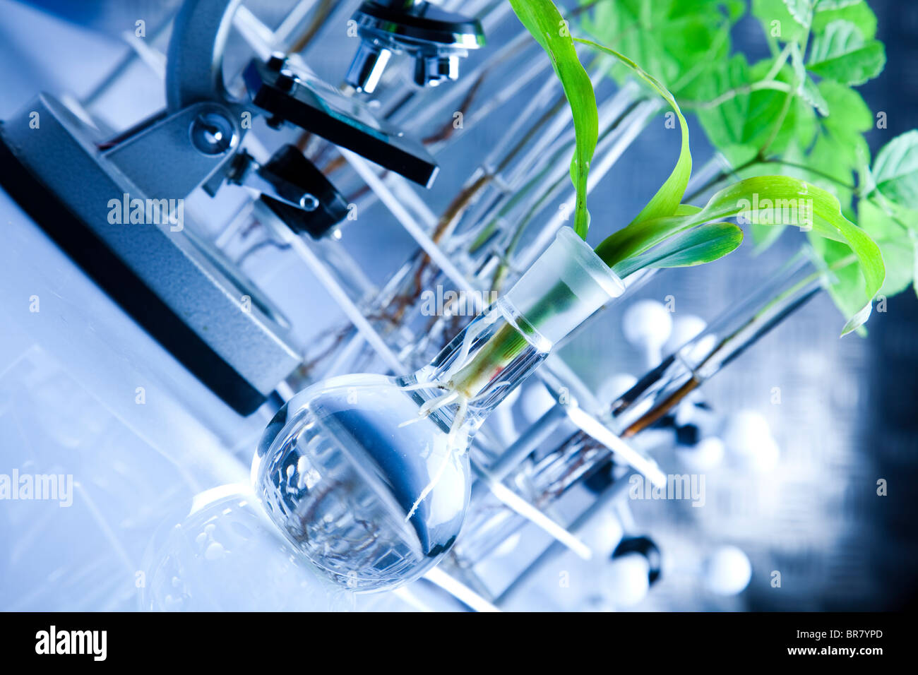 Experimenting with flora in laboratory Stock Photo - Alamy