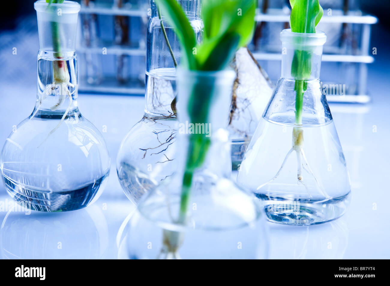 Chemical laboratory glassware equipment, ecology Stock Photo - Alamy
