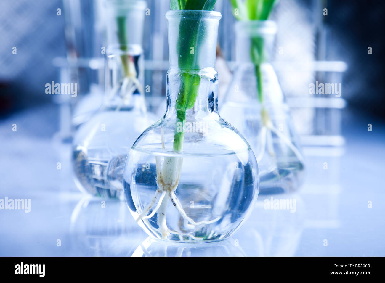 Chemical laboratory glassware equipment, ecology Stock Photo - Alamy