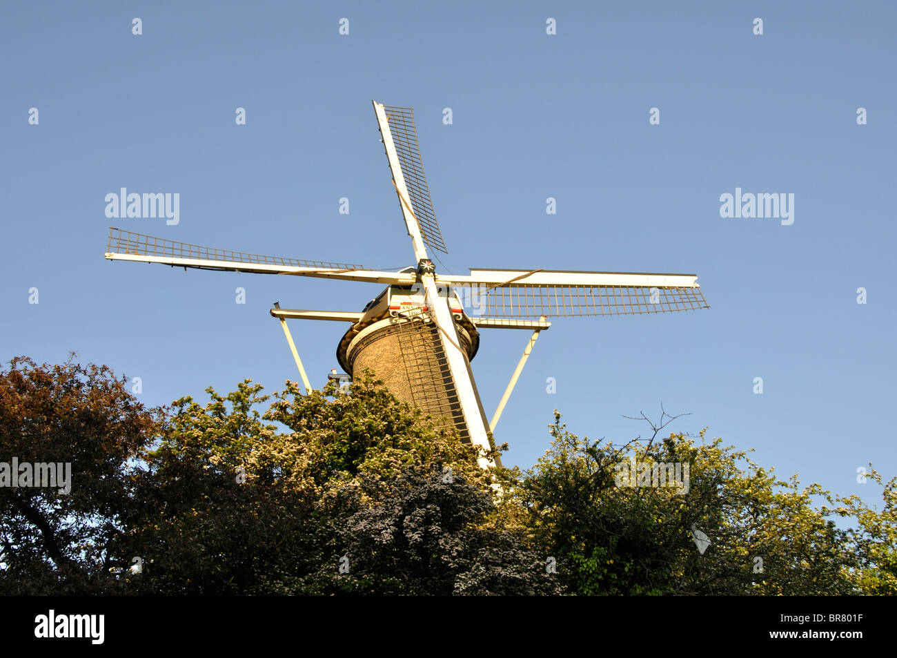 Molen de Valk, windmill museum in Leiden, Netherlands Stock Photo - Alamy