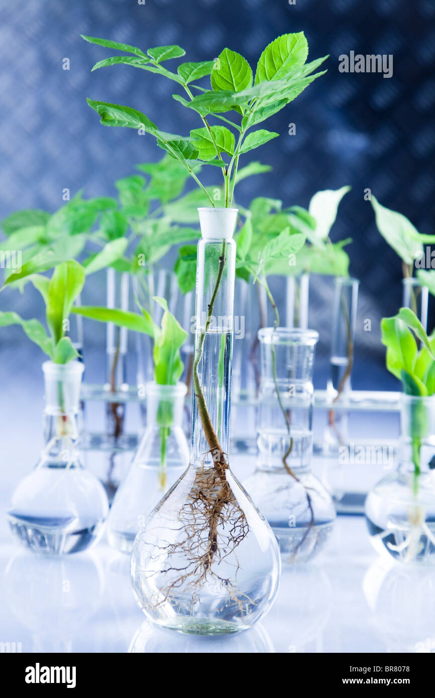 Chemical laboratory glassware equipment, ecology Stock Photo - Alamy