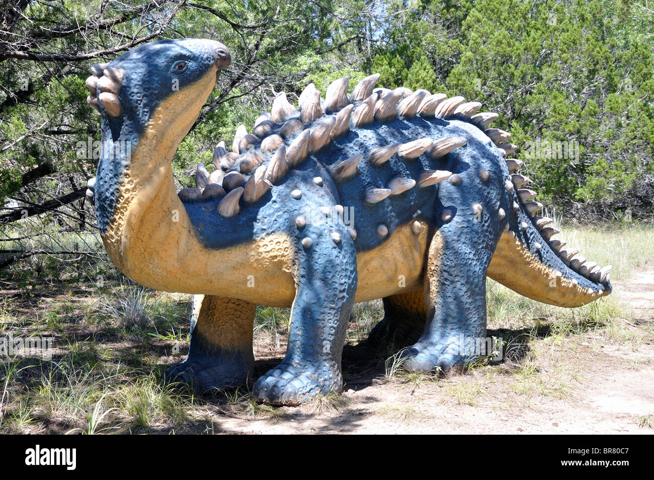 Scelidosaurus, Dinosaur World, Glen Rose, Texas, USA Stock Photo - Alamy