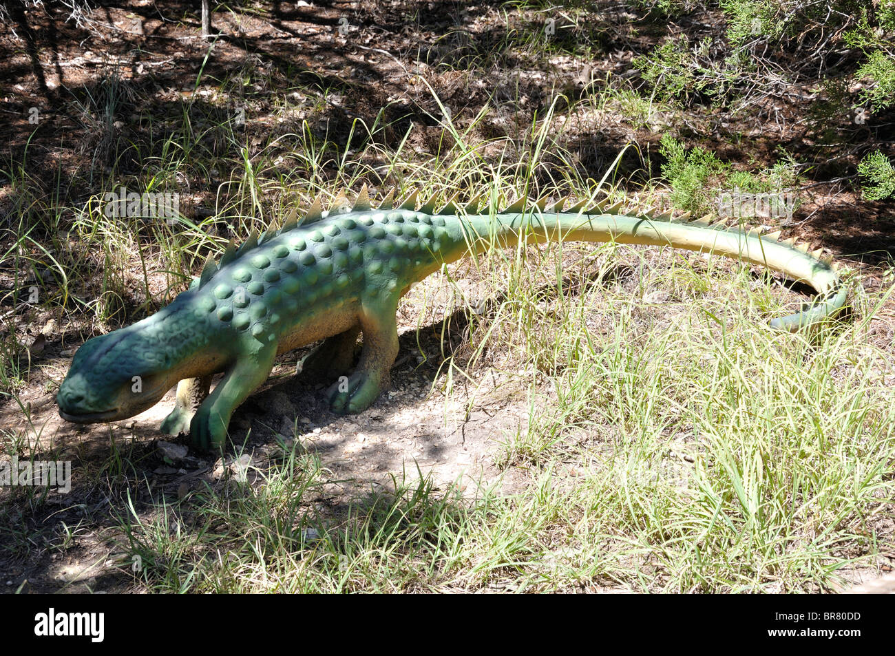Scutellosaurus hi-res stock photography and images - Alamy