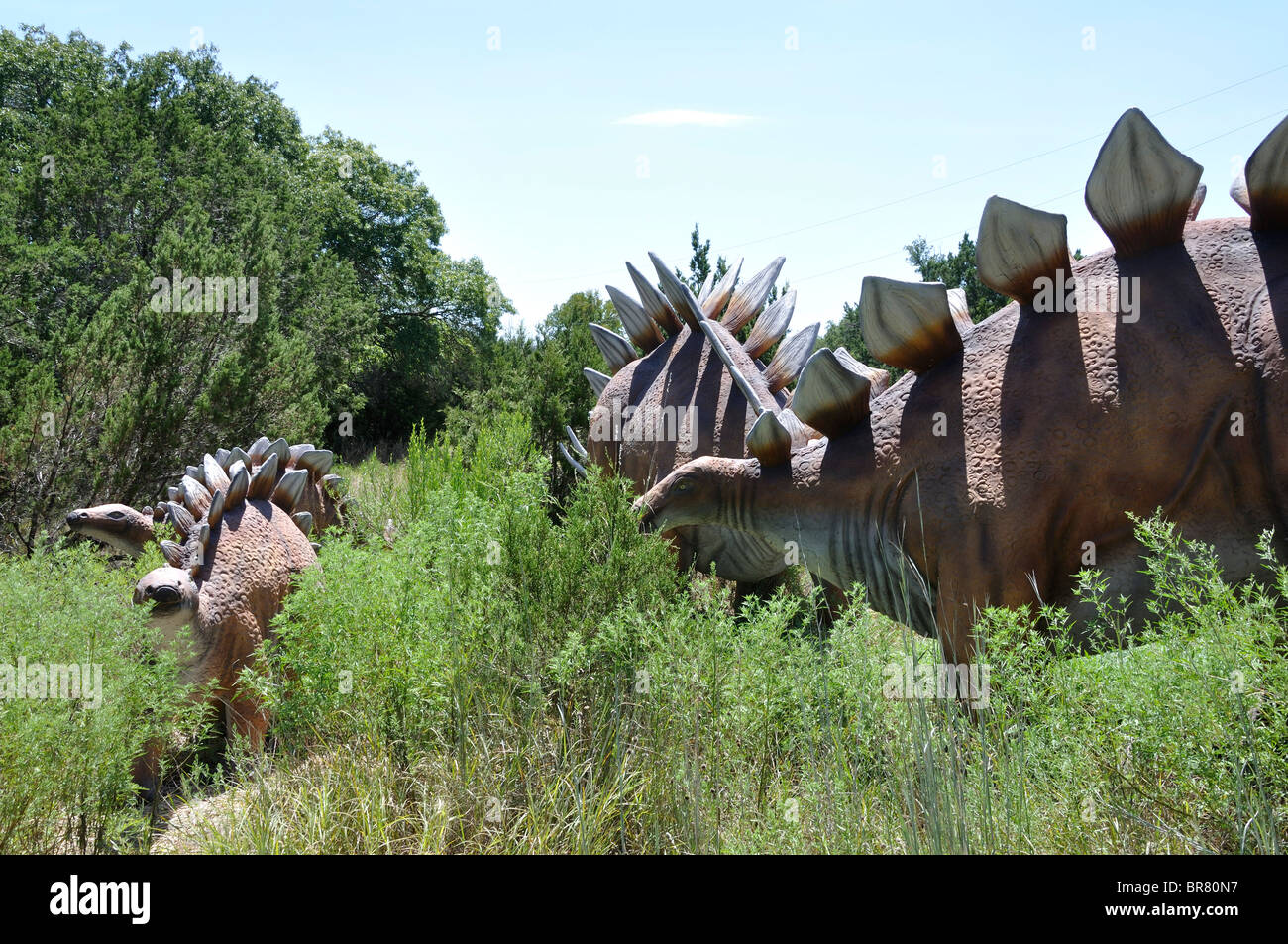 Dinosaur dinosaurs dino world museum exhibition glen rose hi-res stock ...