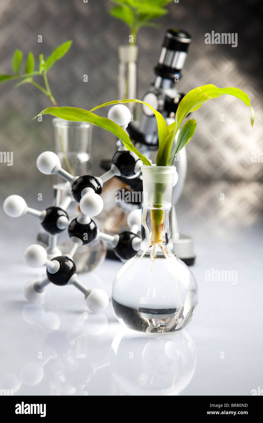 Close-up of plants in test tubes laboratory Stock Photo - Alamy