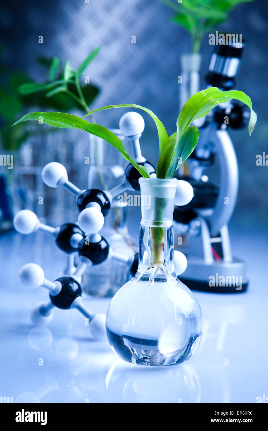 Science experiment and plants Stock Photo - Alamy