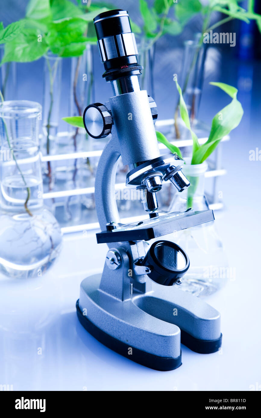 Floral science in laboratory Stock Photo - Alamy