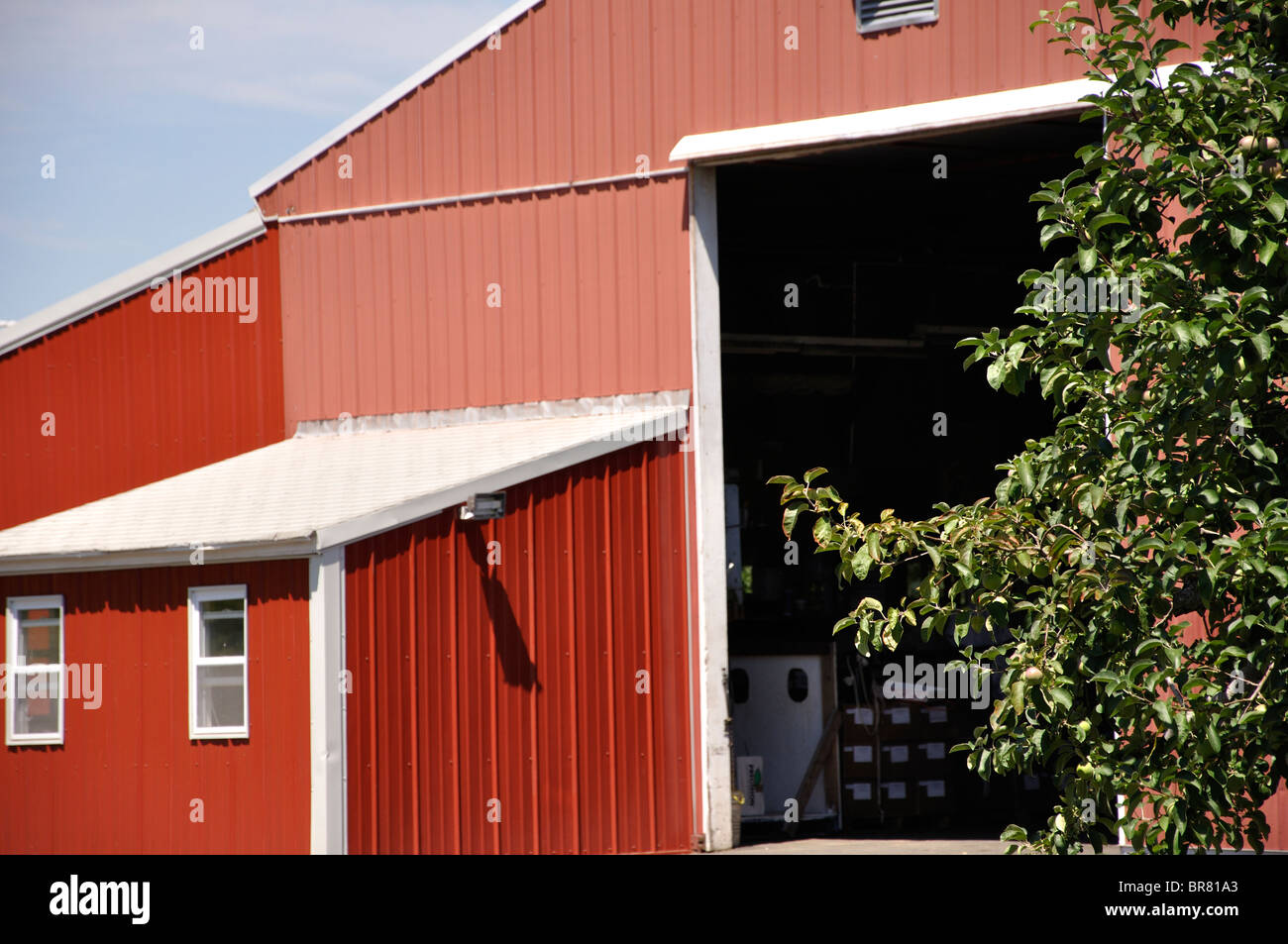 Red barn, New England farm, Connecticut, USA Stock Photo - Alamy