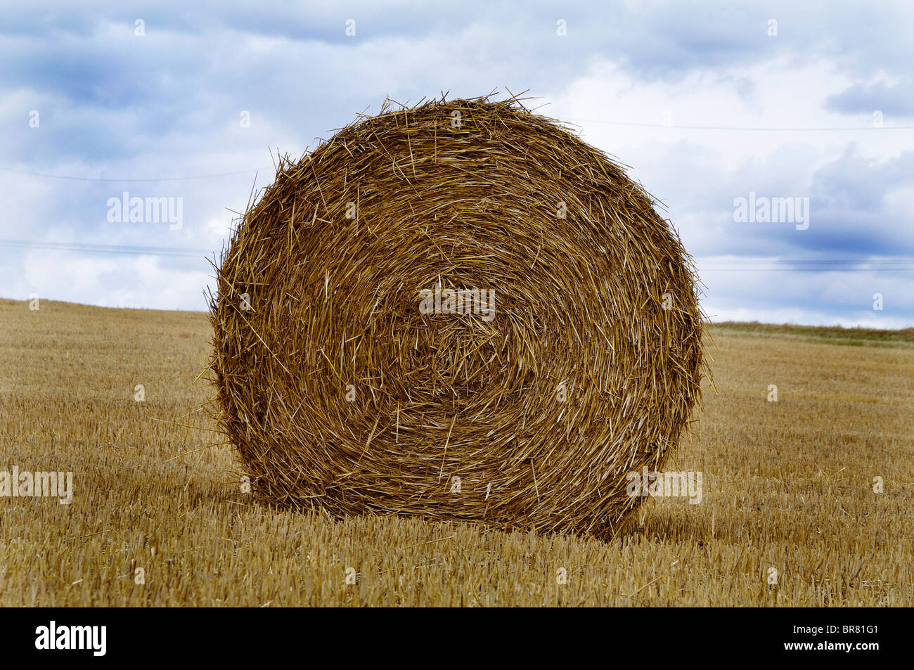 A round hay bale in a farmers field of Turvey village Stock Photo - Alamy