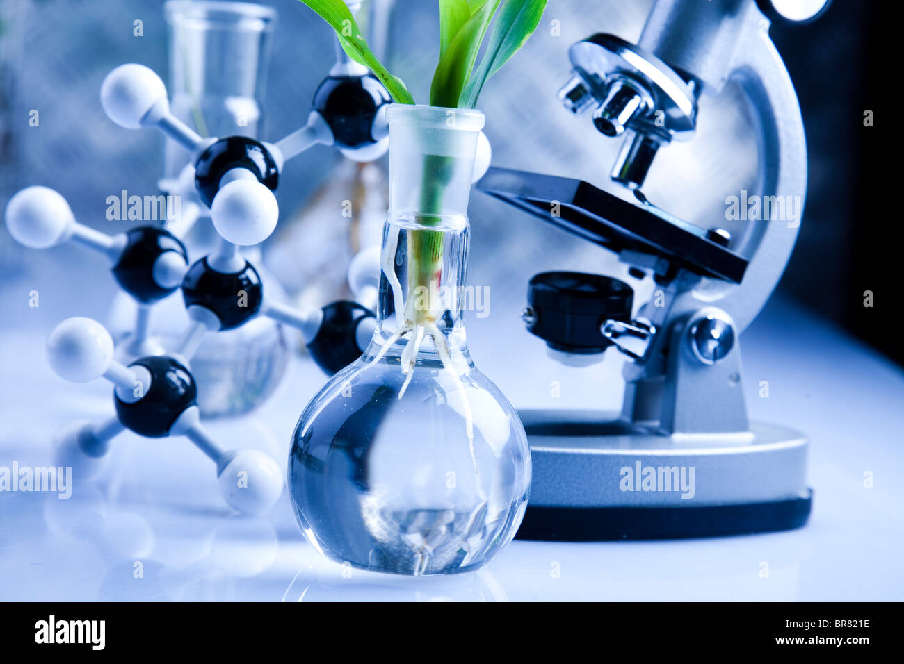 Science experiment and plants Stock Photo - Alamy