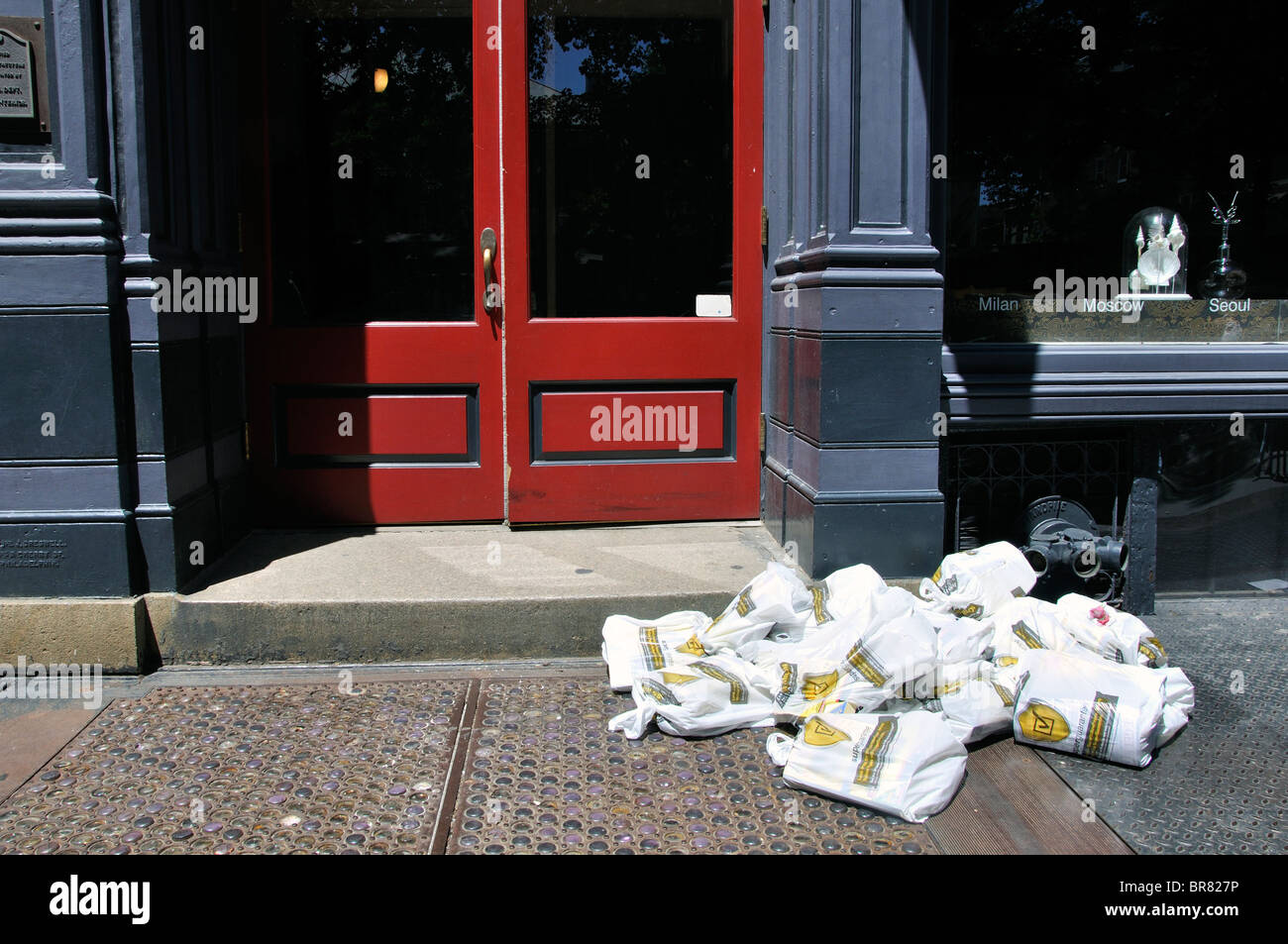 Yellow Book (phone book) delivery, Philadelphia, Pennsylvania, USA ...