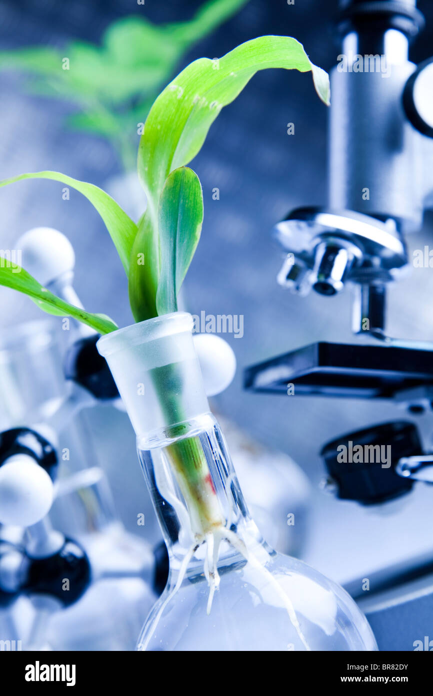 Chemical laboratory glassware equipment, ecology Stock Photo - Alamy