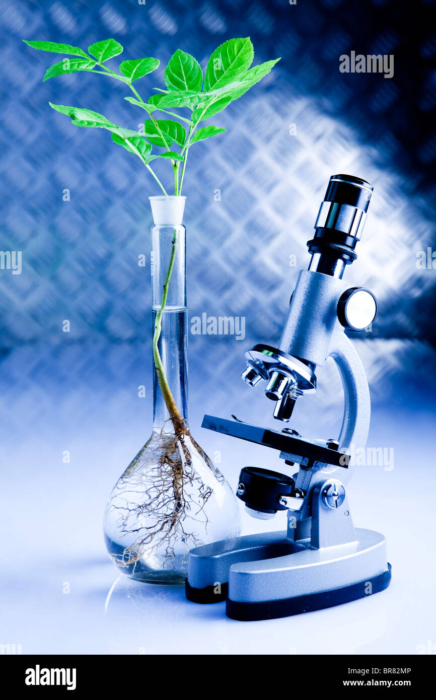 Floral science in laboratory Stock Photo - Alamy