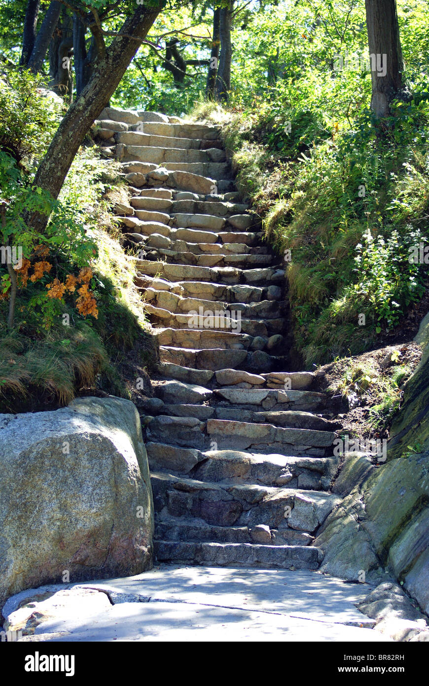 Rock stairway hi-res stock photography and images - Alamy