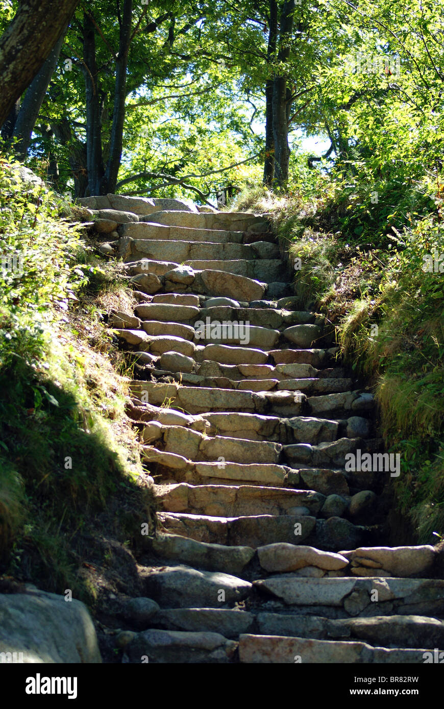 Natural red stair path hi-res stock photography and images - Alamy