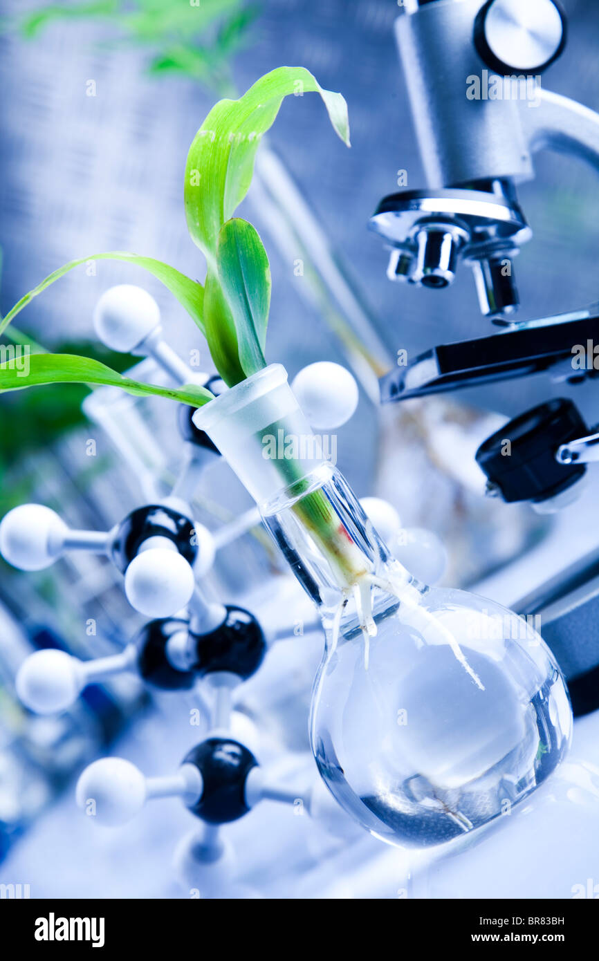 Floral science in laboratory Stock Photo - Alamy