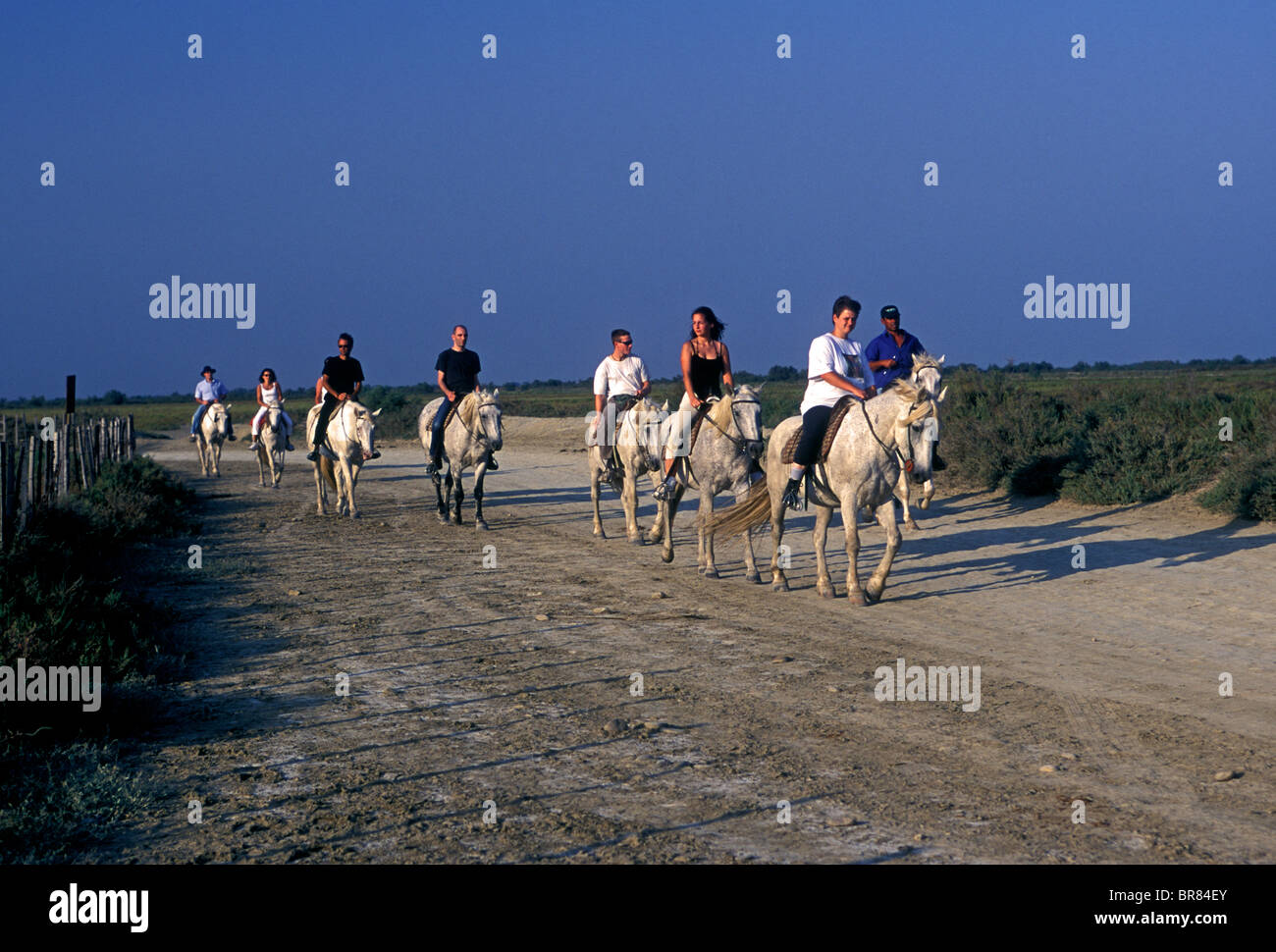 French people, tourists, horseback ride, riding horses, guided tour ...