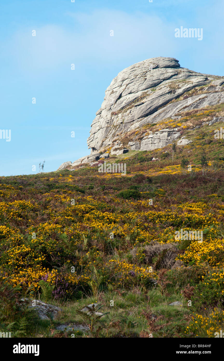 Haytor tor hi-res stock photography and images - Alamy