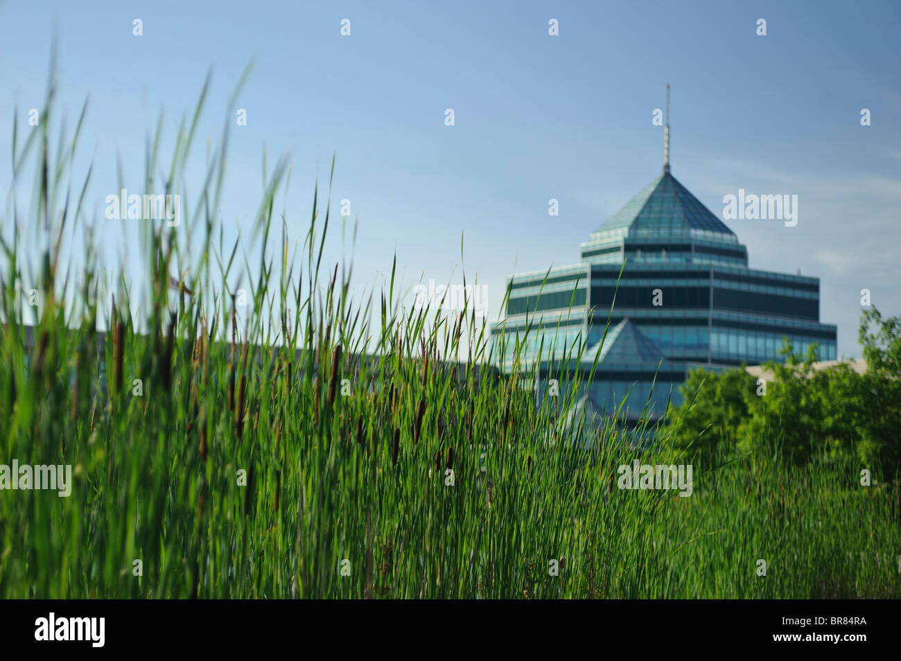 Main building on Nortel Carling Campus, Nepean Ontario Canada Stock ...