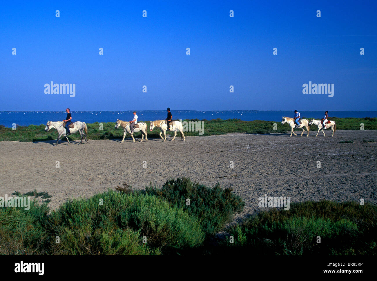 French people, tourists, horseback ride, riding horses, guided tour ...
