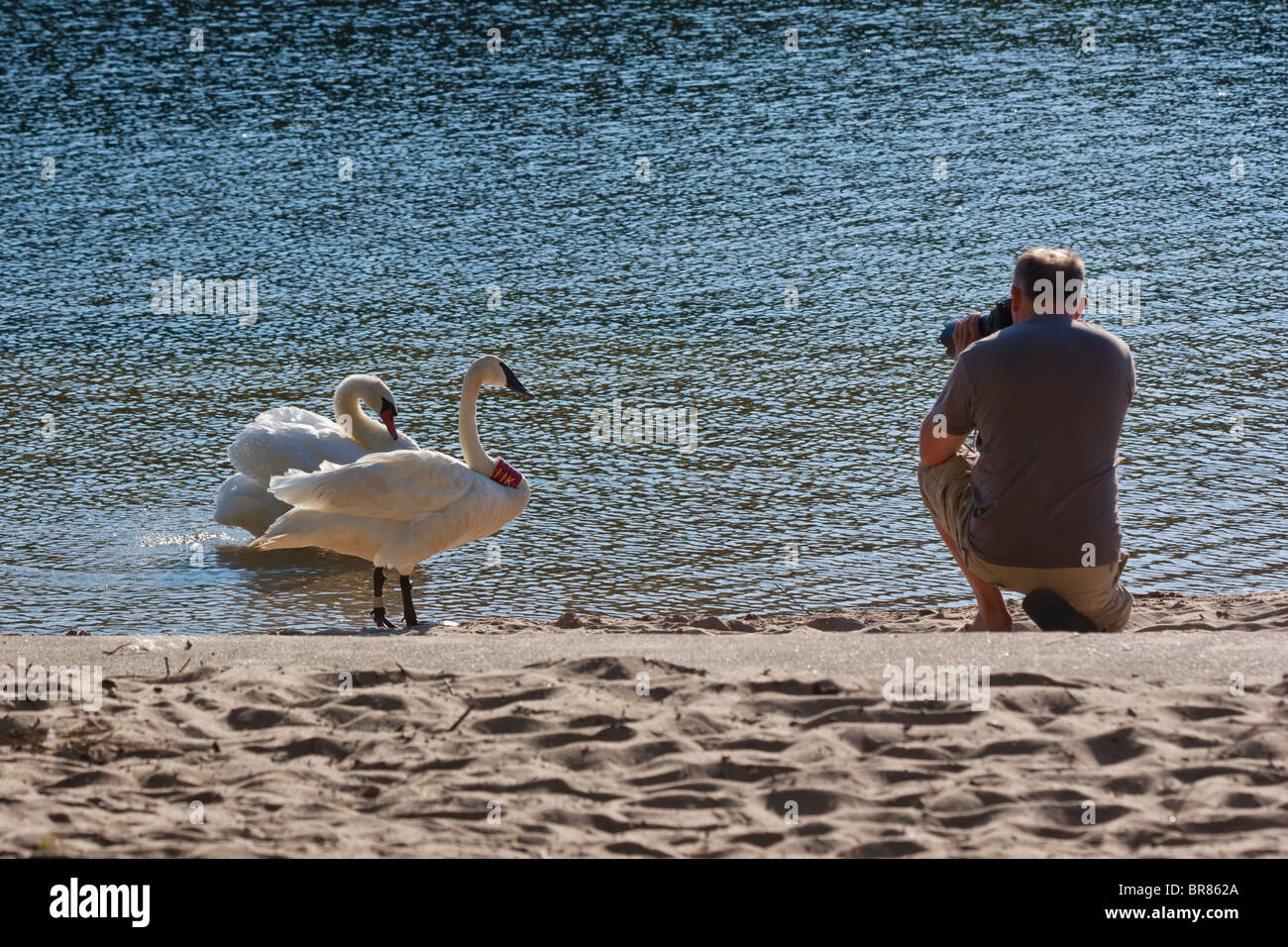 White sand back ground hi-res stock photography and images - Alamy