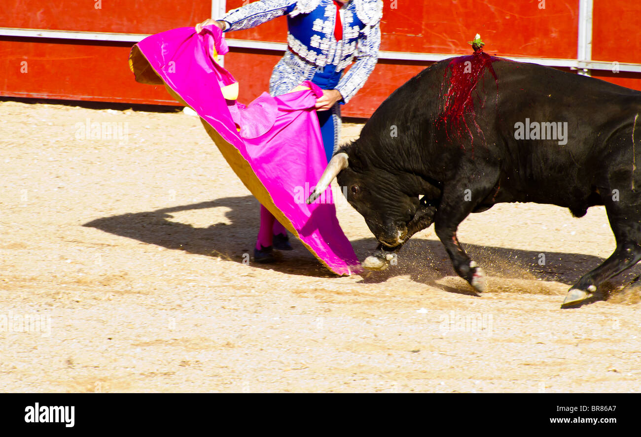 Bull goring bullfighter hi-res stock photography and images - Alamy