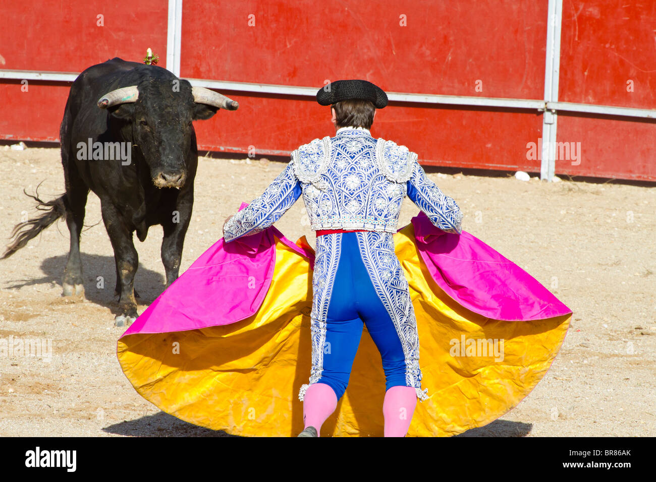 Torero and bull in bullfight. Madrid, Spain Stock Photo - Alamy