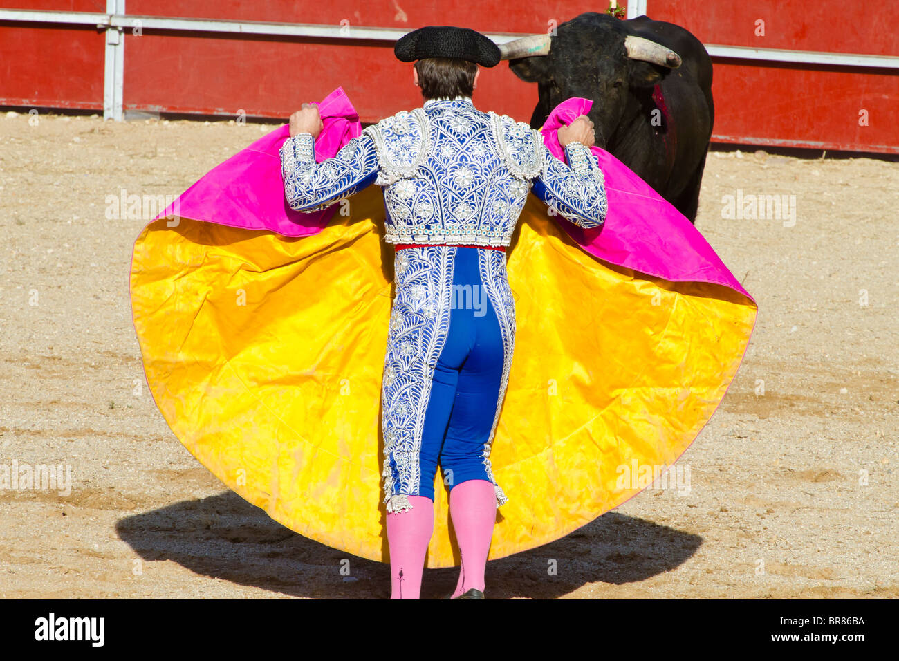 Torero and bull in bullfight. Madrid, Spain Stock Photo - Alamy