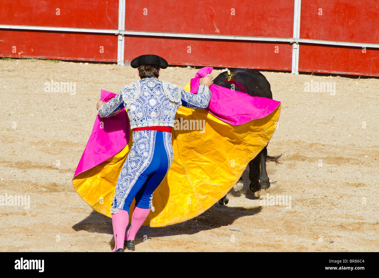 Torero and bull in bullfight. Madrid, Spain Stock Photo - Alamy