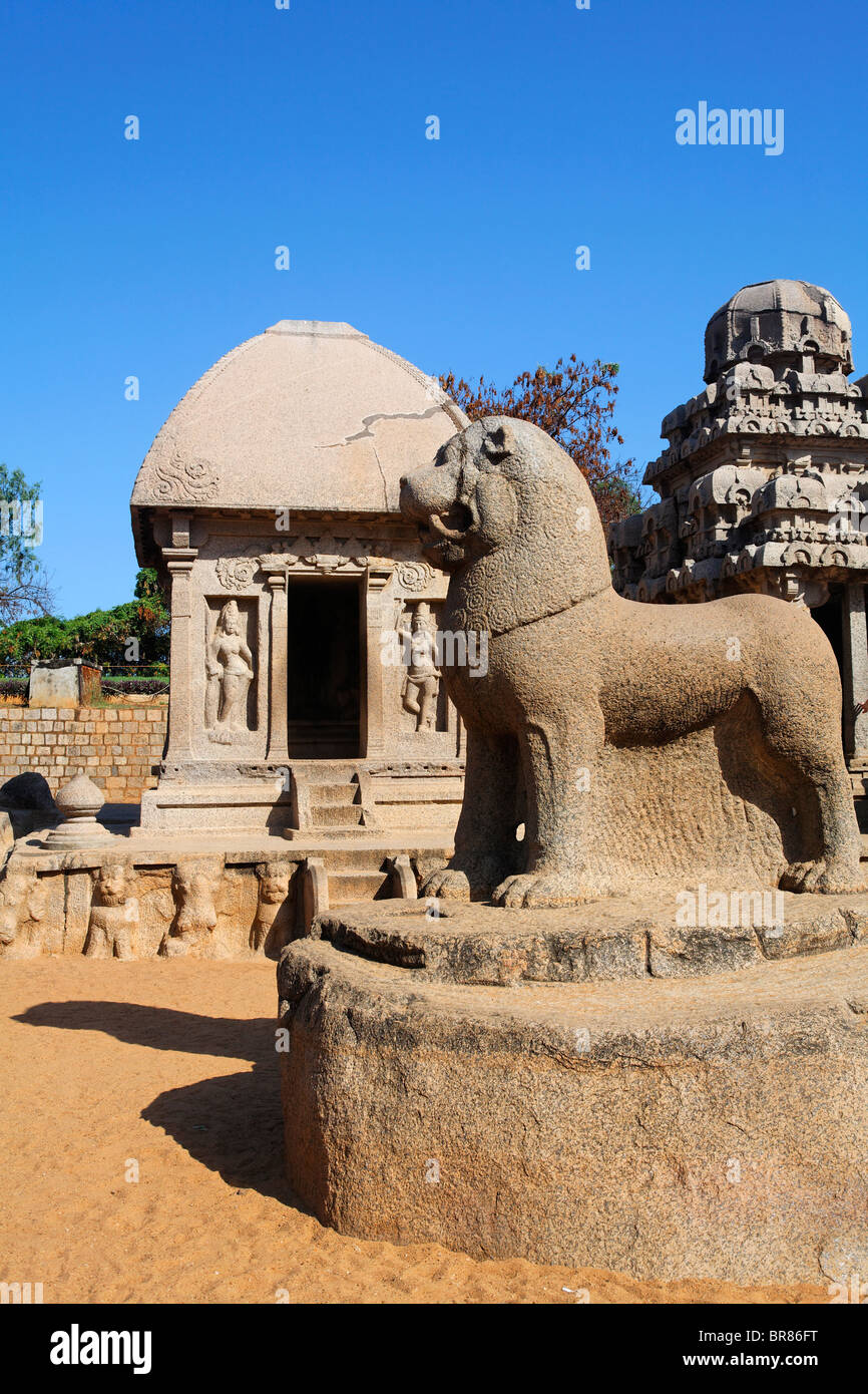 Lion statue at the Pancha Pandava Rathas, Mamallapuram, Tamil Nadu ...