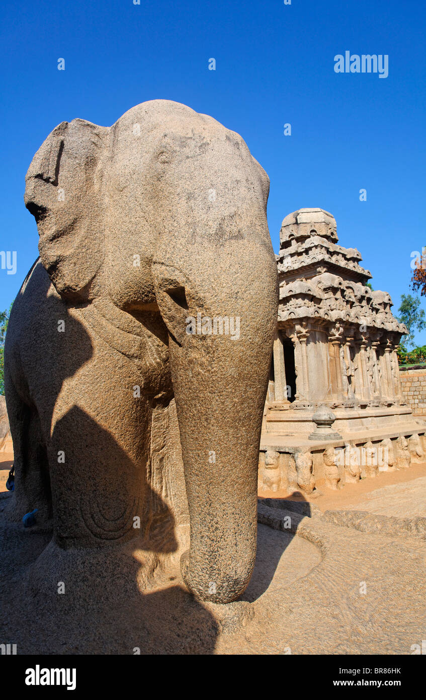 Life size elephant statue at the Pancha Pandava Rathas, Mamallapuram ...