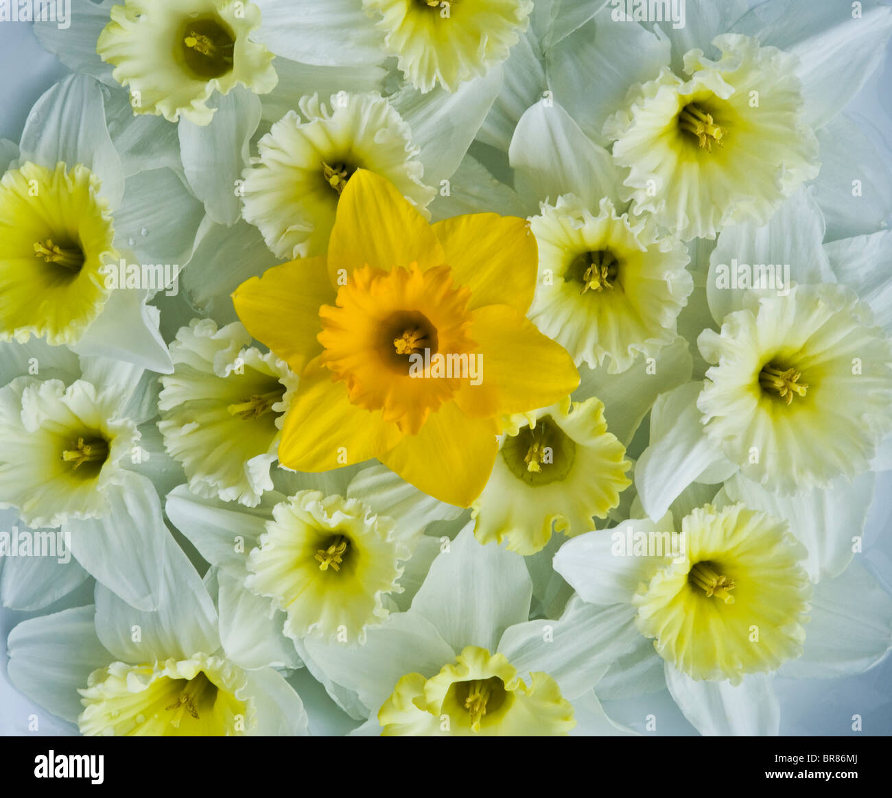 Merging shapes hi-res stock photography and images - Alamy