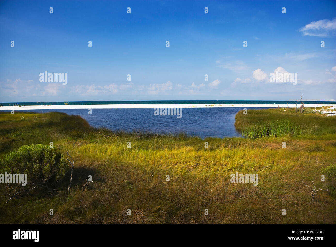 Oil spill clean-up crews work on white beaches along the Gulf Coast ...
