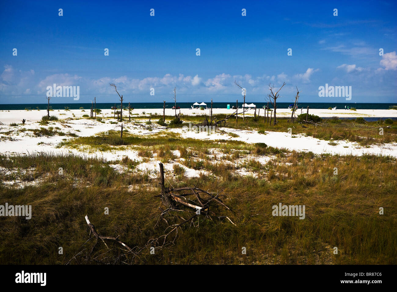 Oil spill clean-up crews work on white beaches along the Gulf Coast ...