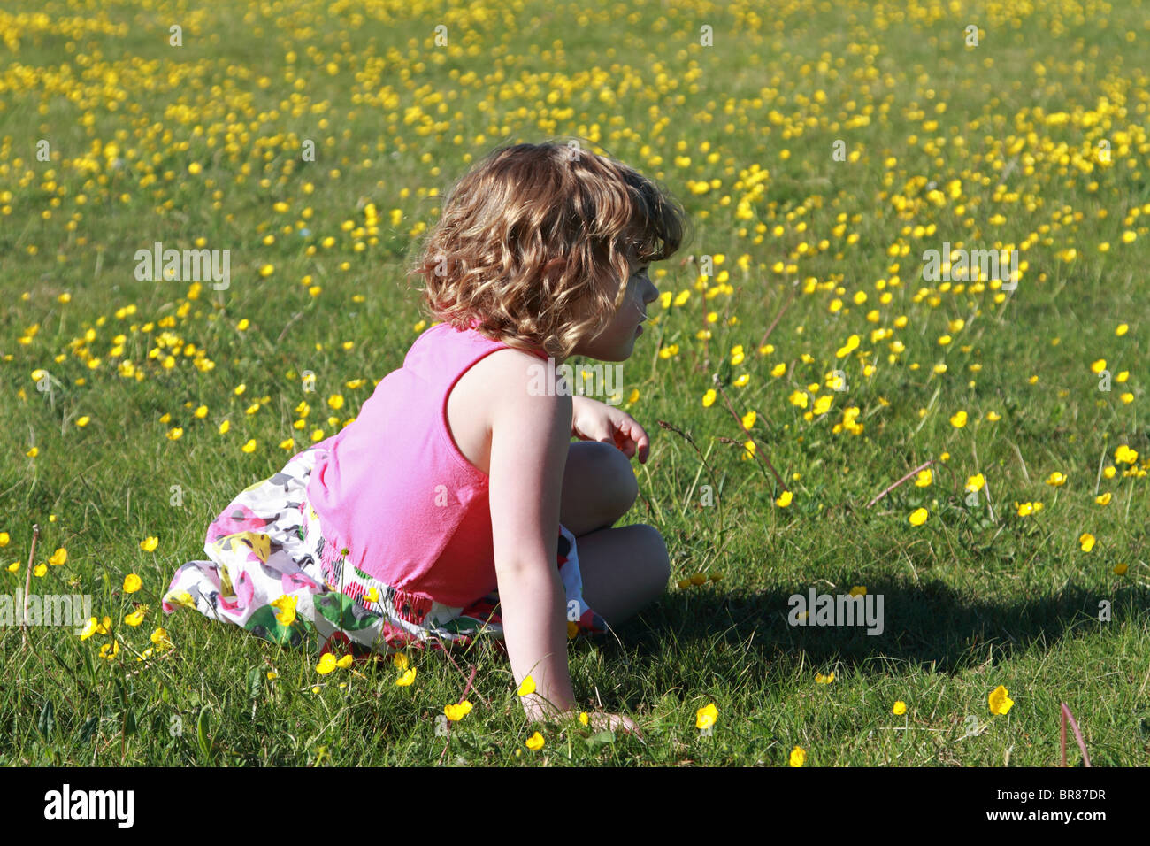 Girl sitting in field Stock Photo - Alamy