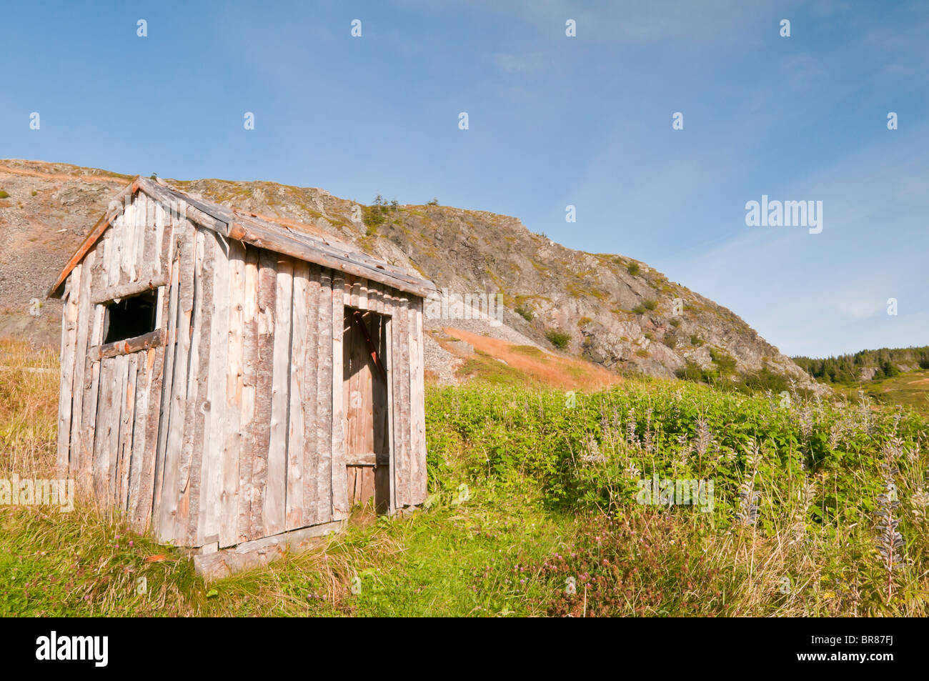 Rotting wood shack hi-res stock photography and images - Alamy