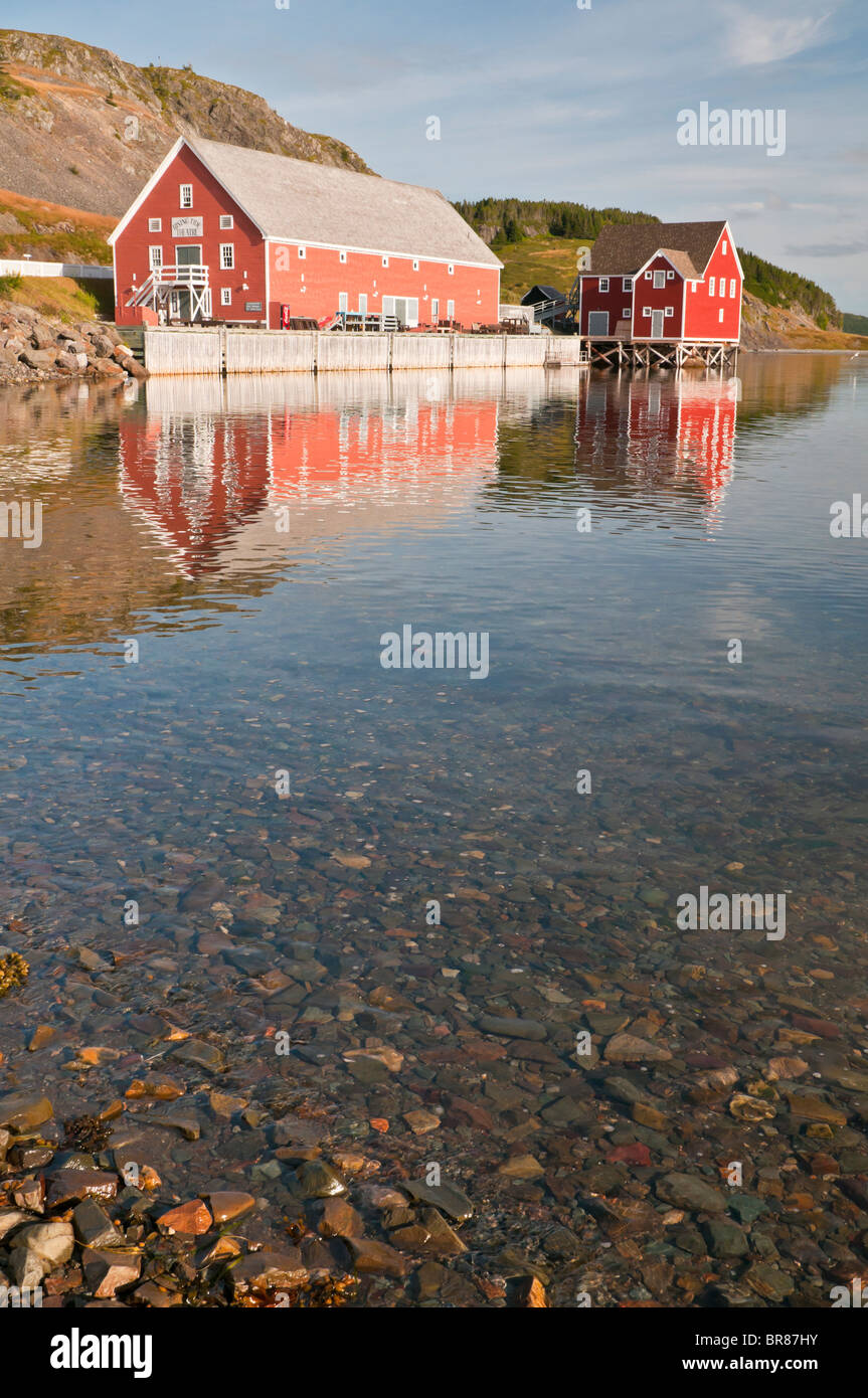 Trinity bay hi-res stock photography and images - Alamy