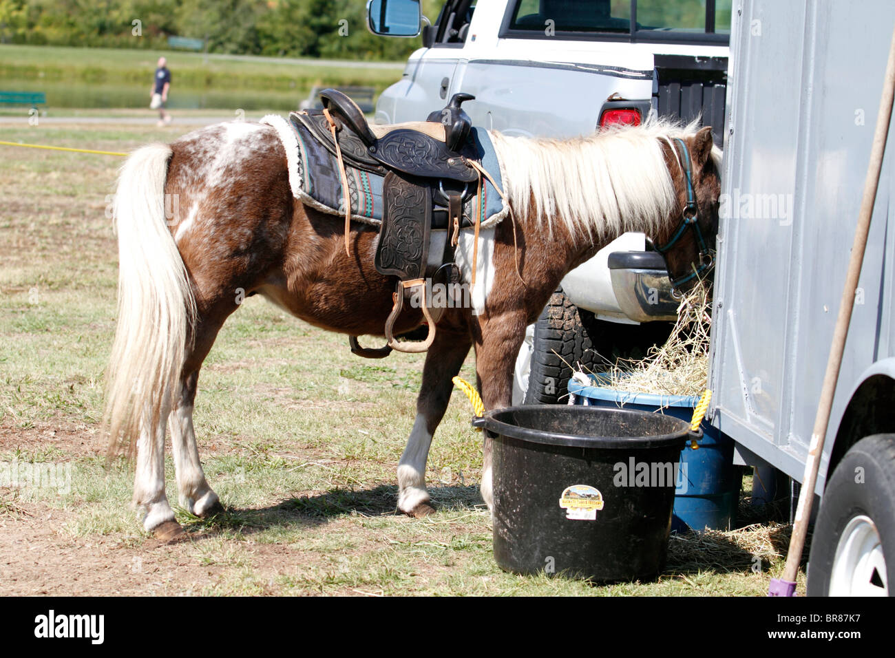 Rides horse pony ride hi-res stock photography and images - Alamy