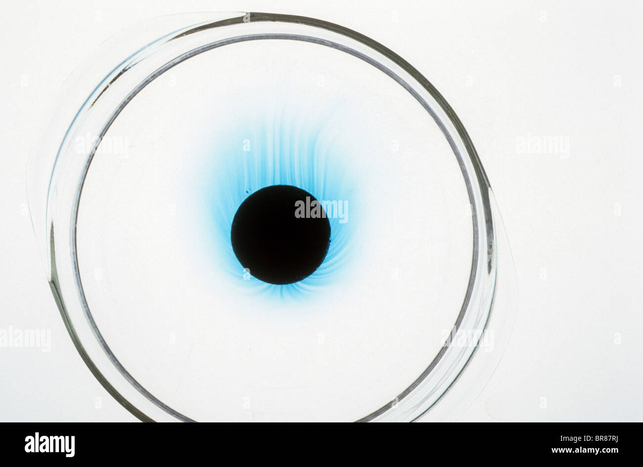 dye disk dissolve dissipate water petri dish time melt color percent ...