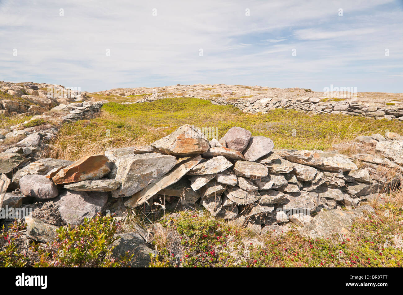 Historic stone walls, Grates Cove Rock Walls National Historic Site ...