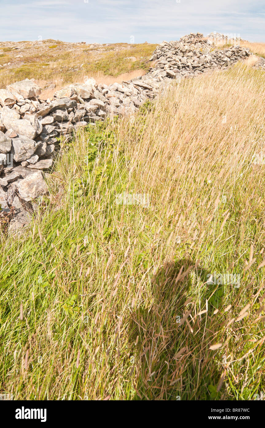 Historic stone walls, Grates Cove Rock Walls National Historic Site ...