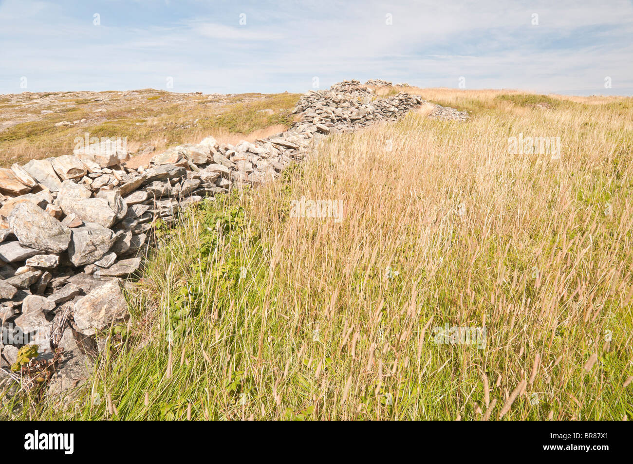 Historic stone walls, Grates Cove Rock Walls National Historic Site ...