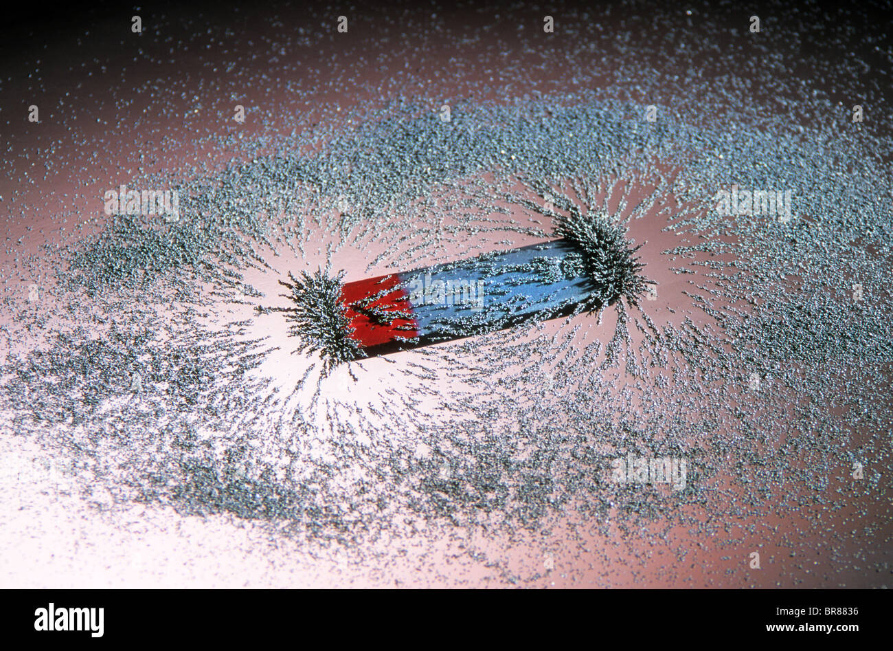 magnet metal filings field science demo example show cling power ...
