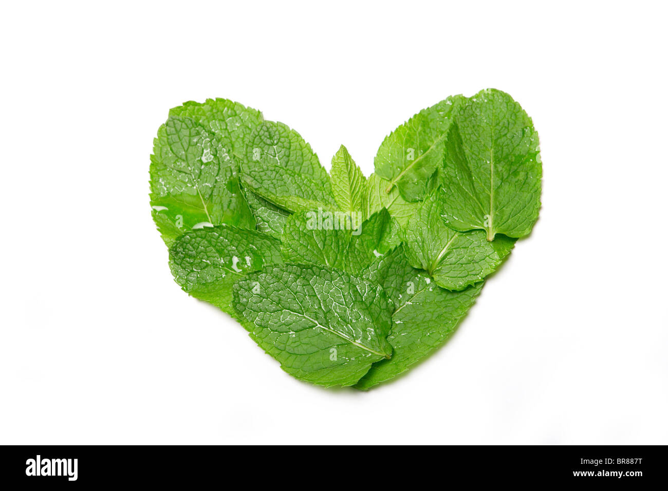 Peppermint heart on white background Stock Photo - Alamy