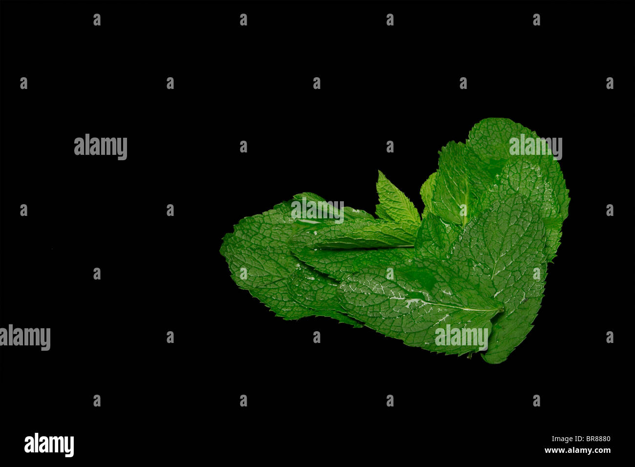 Peppermint heart on black background Stock Photo - Alamy