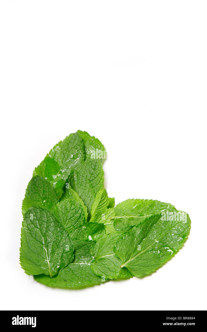 Peppermint heart on white background Stock Photo - Alamy