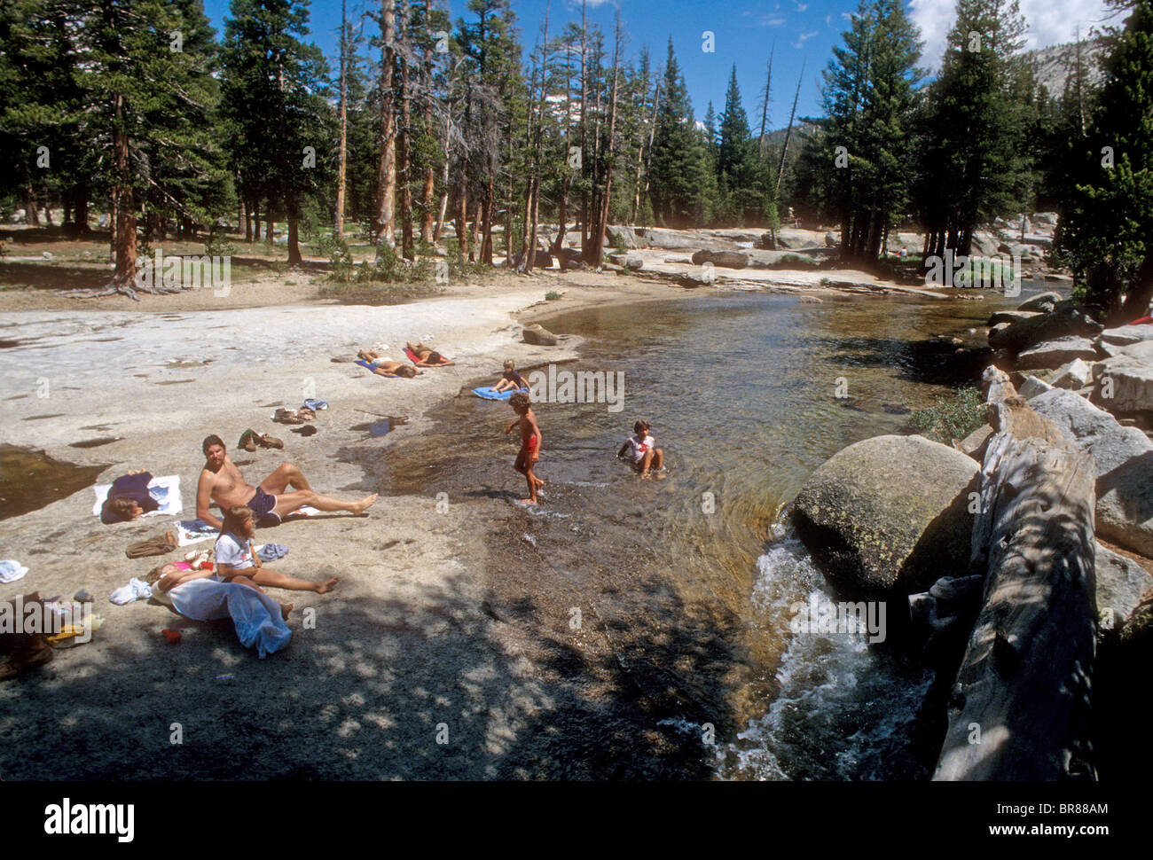 family swim forest Yosemite National Park Tuolomne meadows stream river ...
