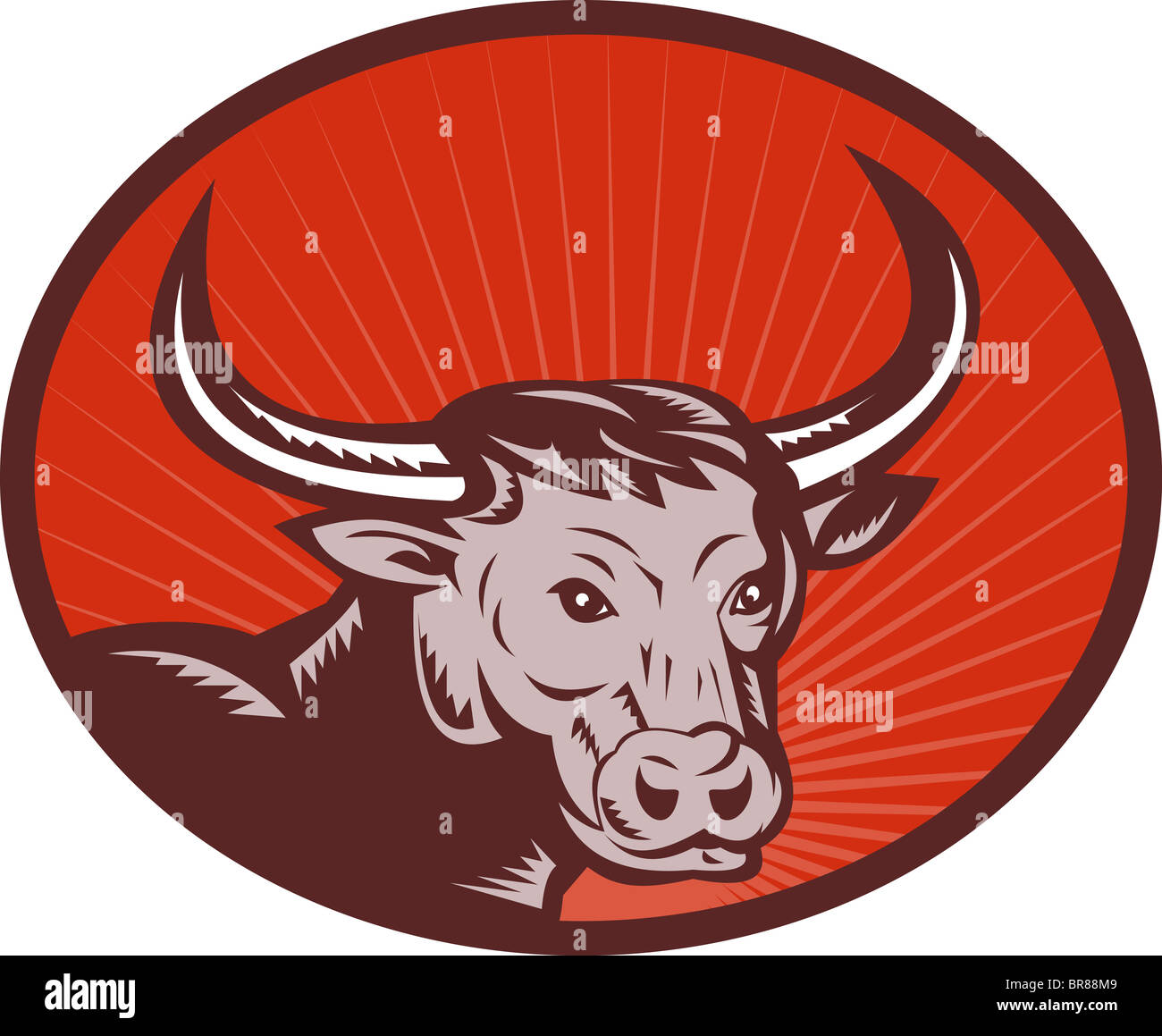 texas longhorn bull set inside a circle Stock Photo - Alamy