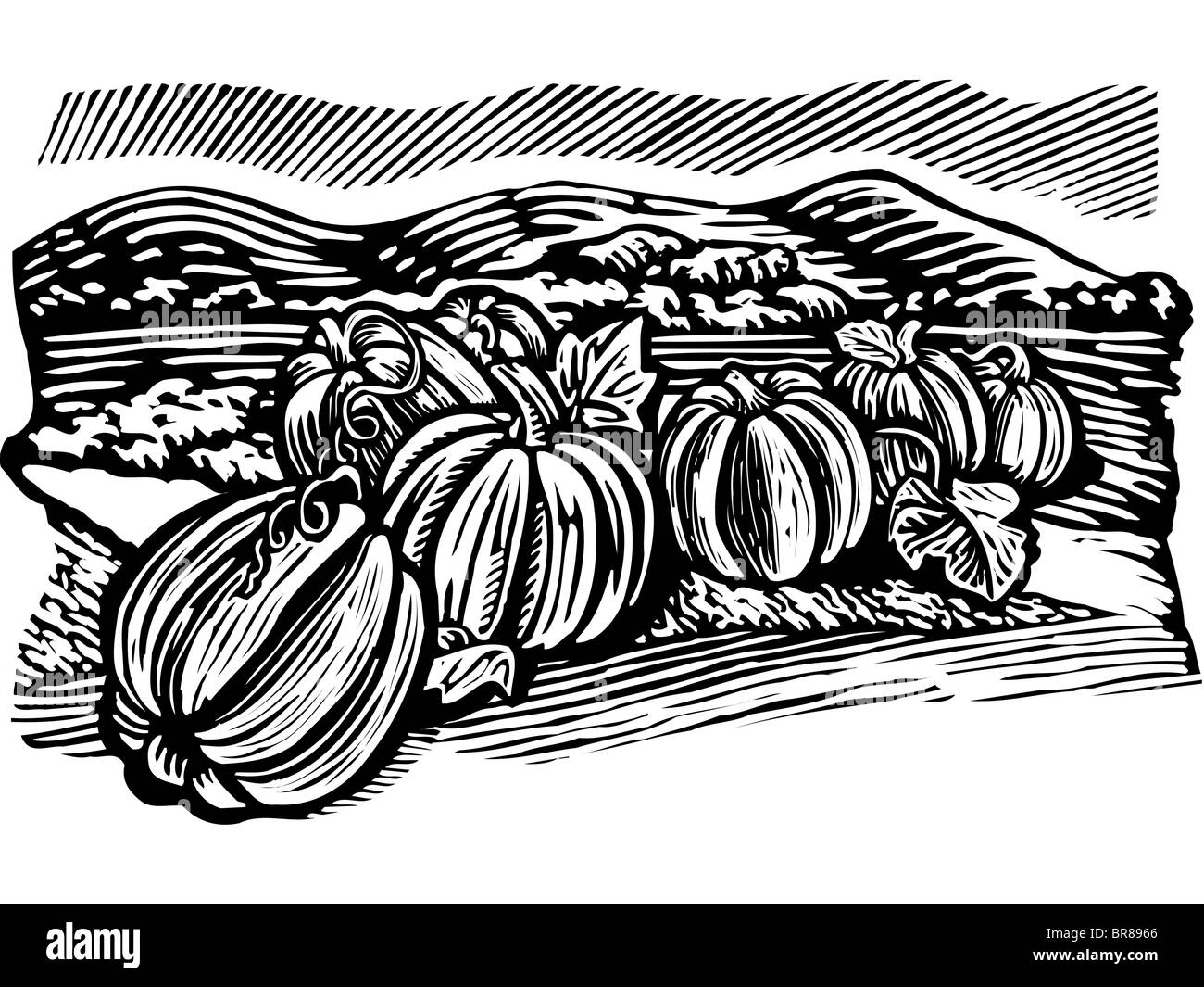 Pumpkin Patch Clipart Black And White